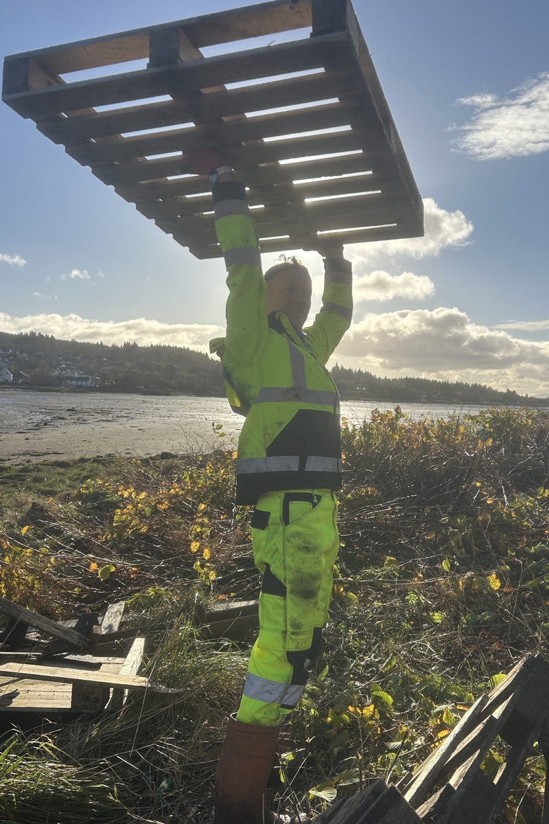West Coast Today - Media Library - Moving pallets across the burn at ...