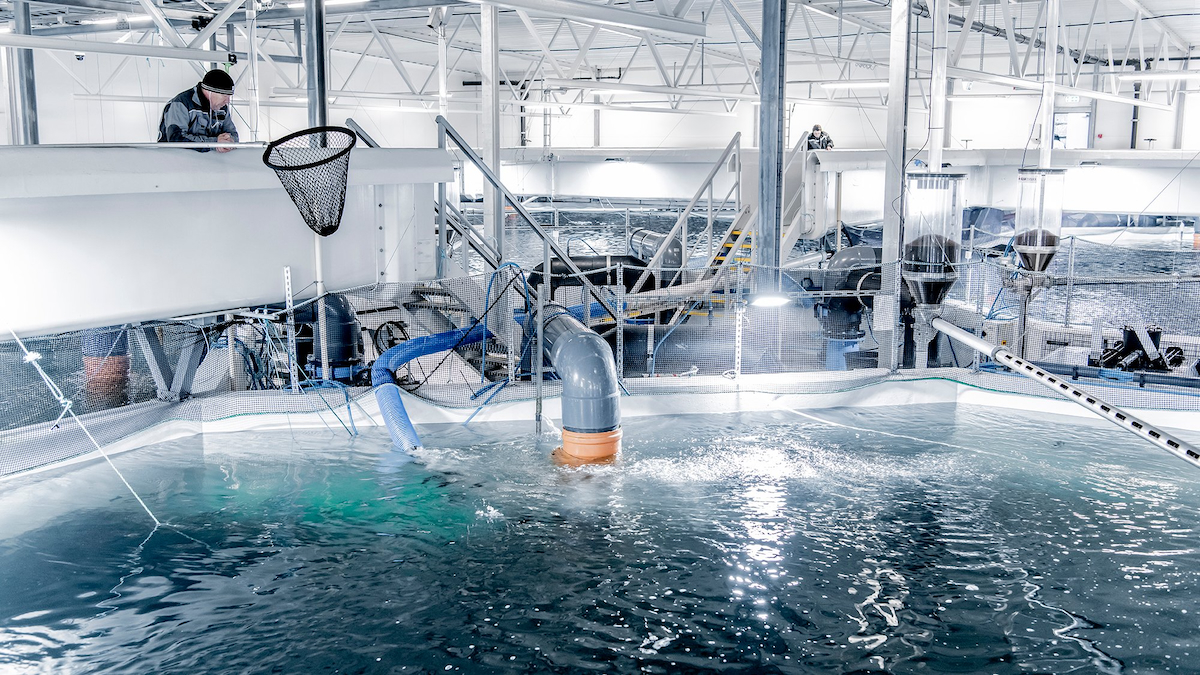 Fish Farmer - News - AKVA group reviews options for sale of the business