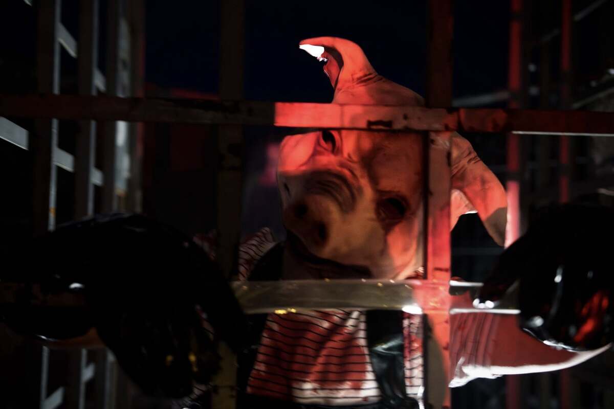 West Coast Today - News - Fright night in Dunbeg