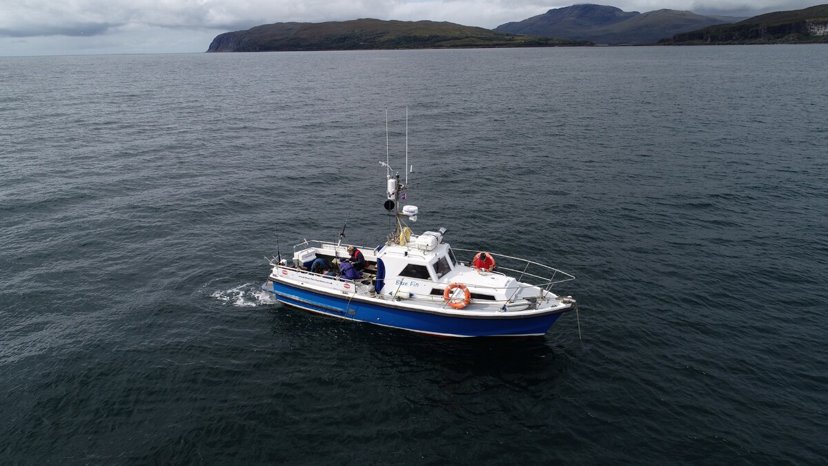 West Coast Today - News - Breakthrough made in underwater animal tracking