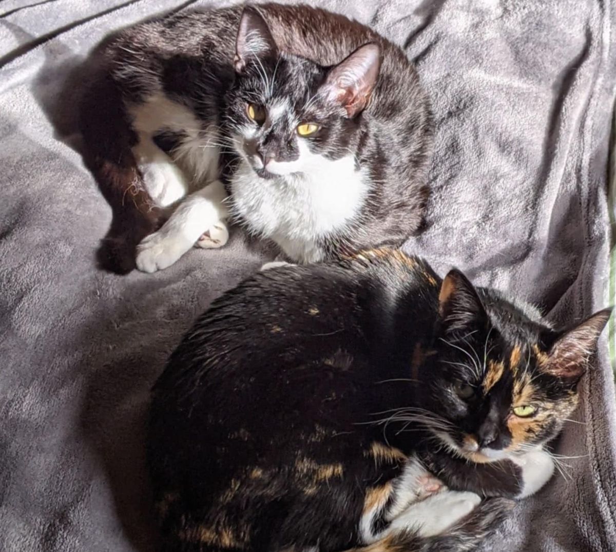 West Coast Today - All Content - WCT - Connel house fire couple hope ...