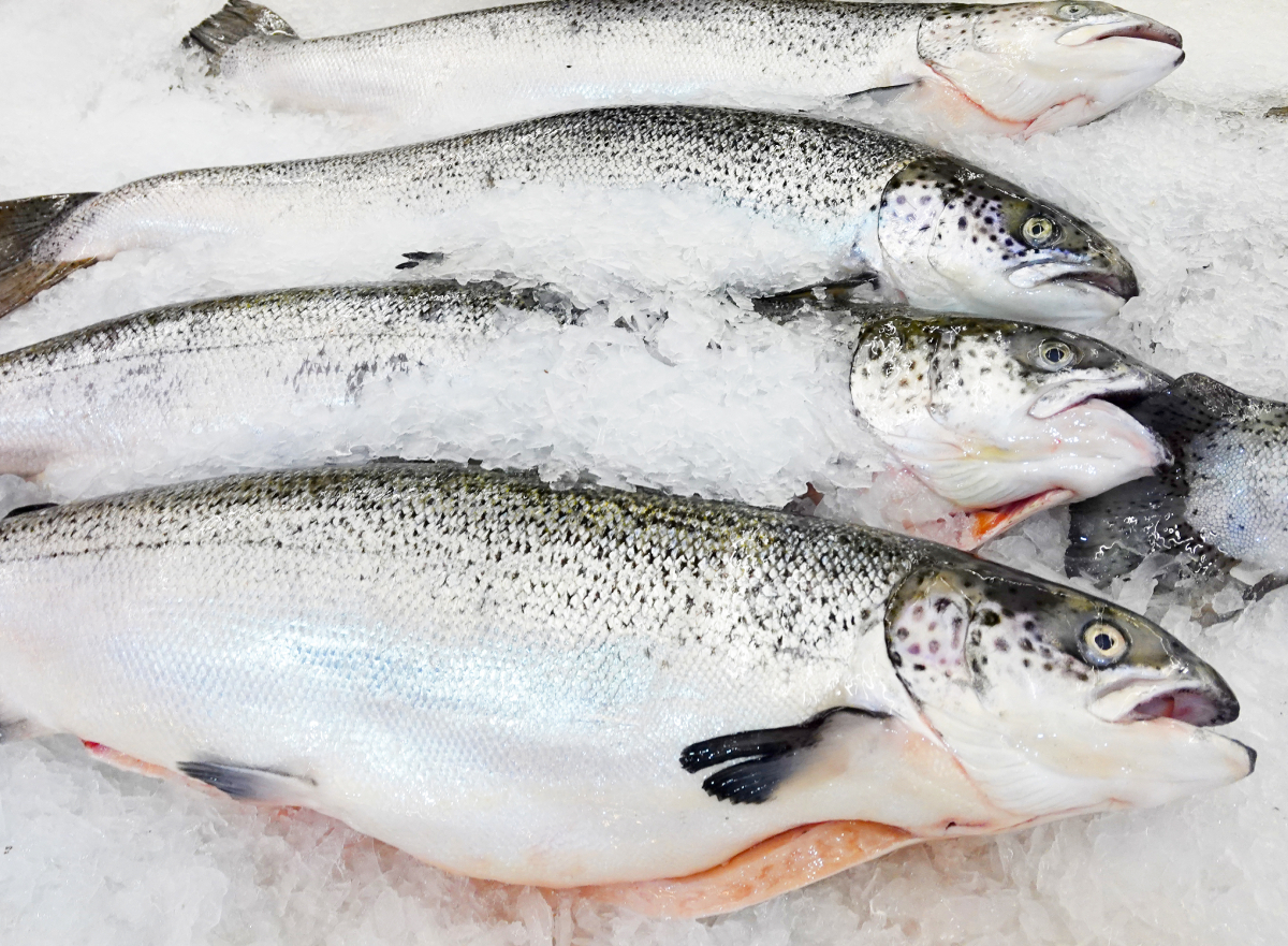 Fish Farmer - News - Heavy snow hits fresh salmon prices