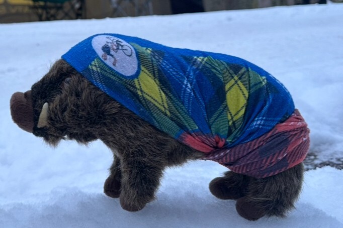 West Coast Today - News - Glenbarr cyclist braves ‘The Puffer’ as part ...