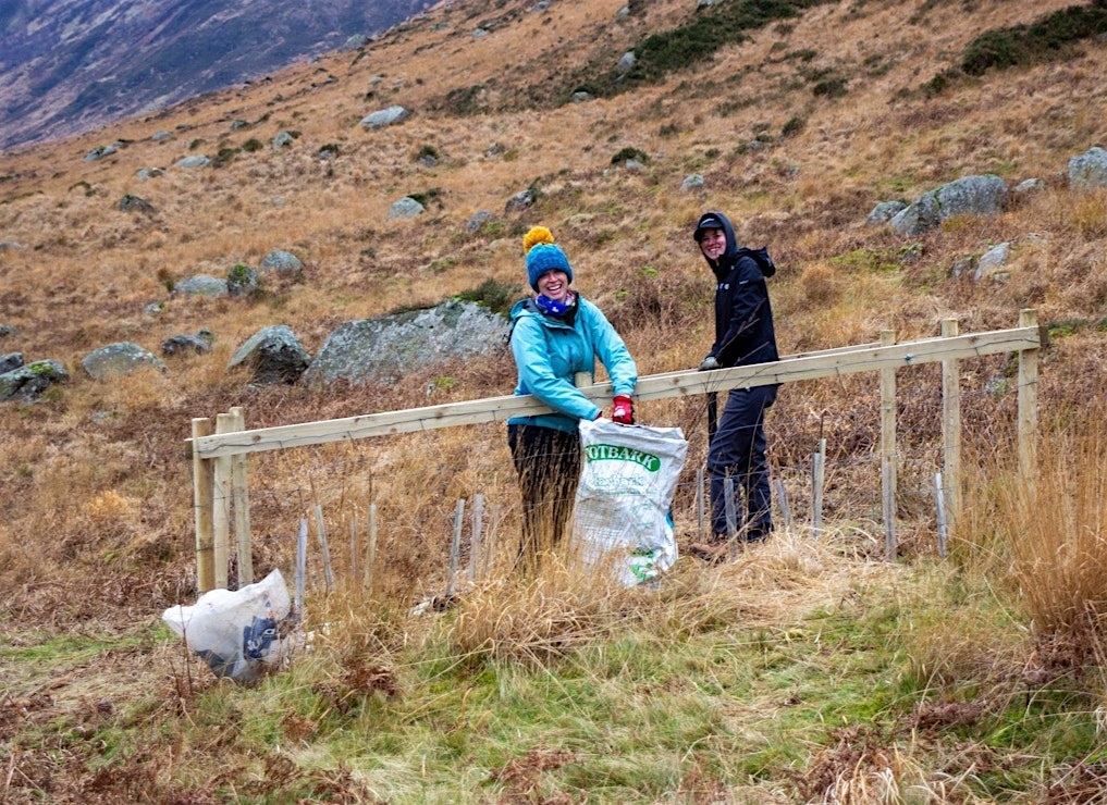 West Coast Today - All Content - WCT - Habitat regeneration steps up in ...