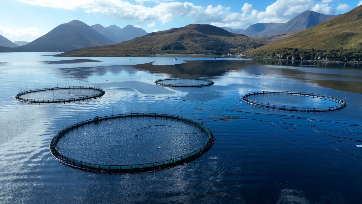 Fish Farmer - SEA FARMING - A tale of two reports