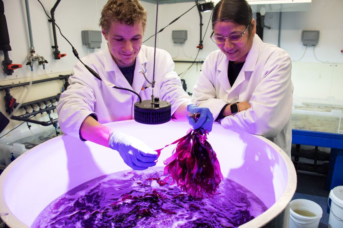 Fish Farmer - News - Scientists make breakthrough in survival rate of ...
