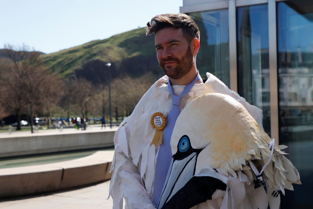 West Coast Today - All Content - WCT - Man in giant bird costume ...