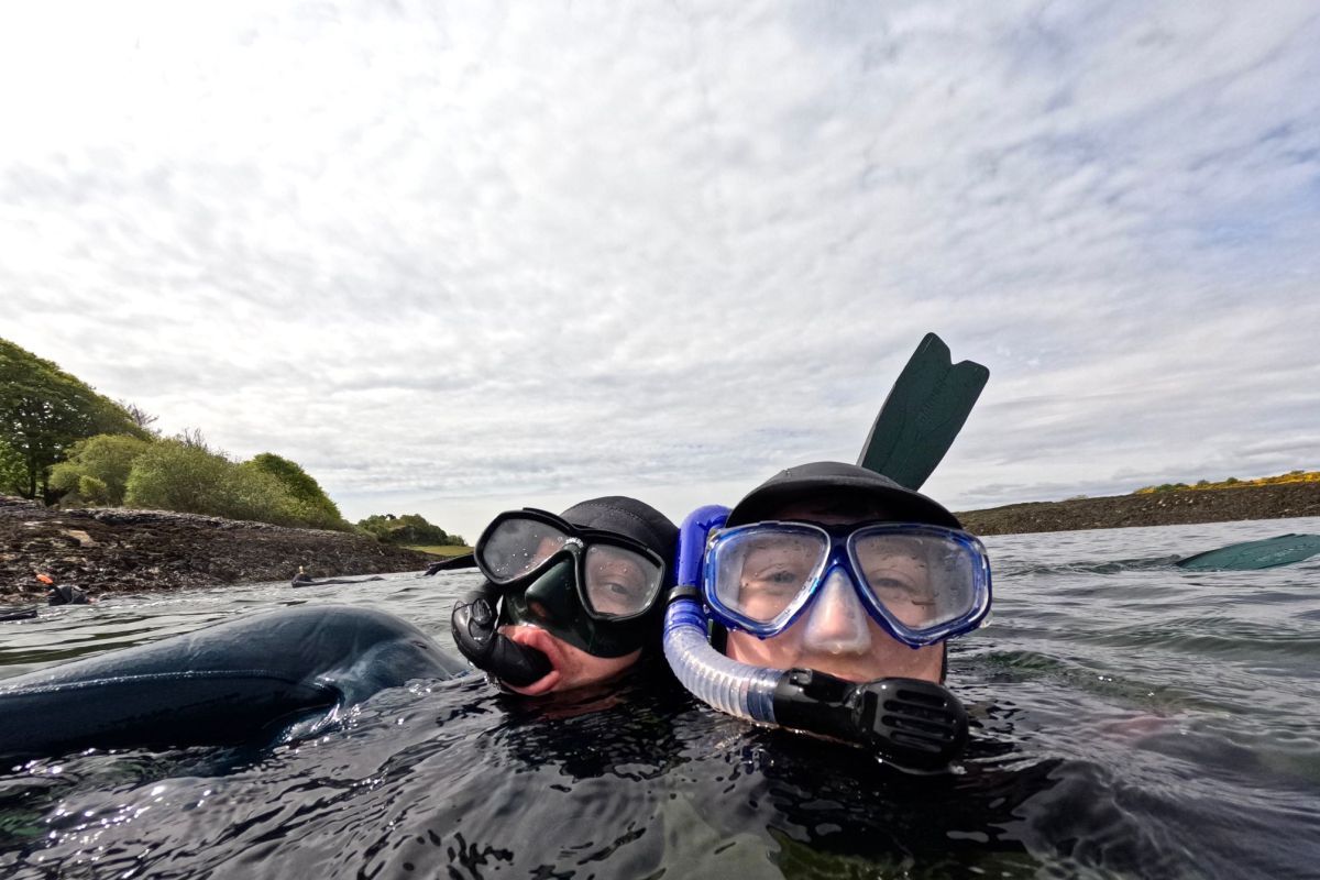 West Coast Today - All Content - WCT - 'Grow' wild and be a seagrass ...