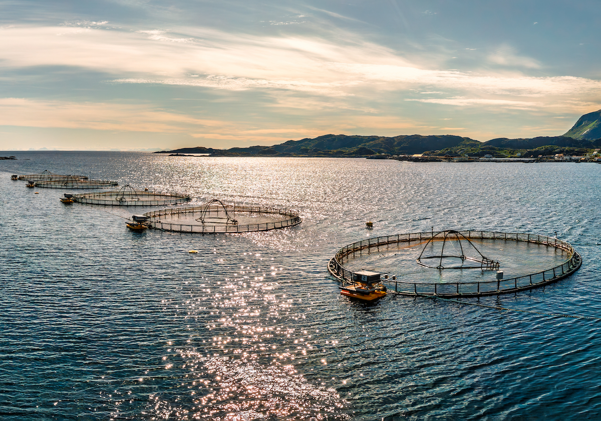 Fish Farmer - Fish Farmer - All Content - Opinion: ‘Not our remit’