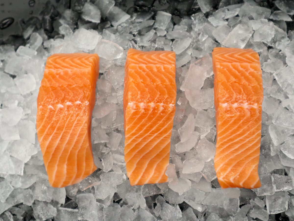 Fish Farmer - Fish Farmer - All Content - Scientists find even higher ...
